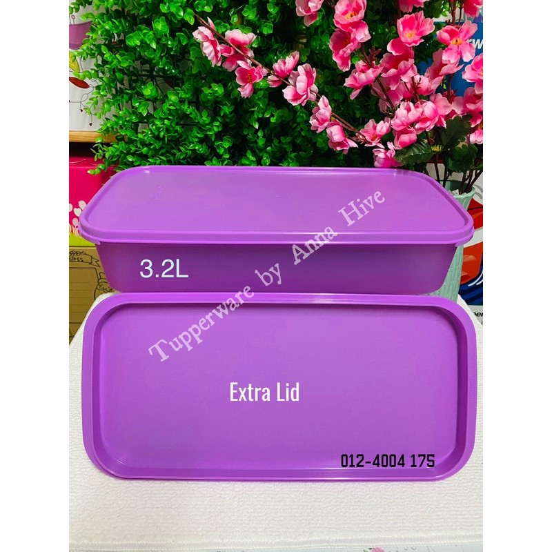 Tupperware Shallow Carry All with Extra Seal (3.2L) | Shopee Malaysia