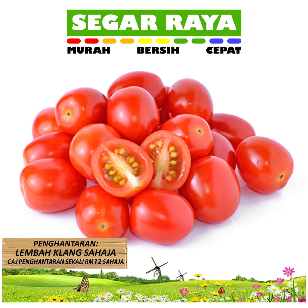 SAYUR Tomato Ceri / Cherry Tomato (300g+-) SEGAR RAYA | Shopee Malaysia