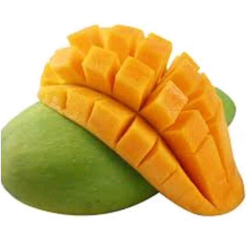 Anak Pokok Mangga Harumanis🌱Mango Harumanis Tree🌱 Harumanis忙果树苗🌱Hybrid🔥 ...