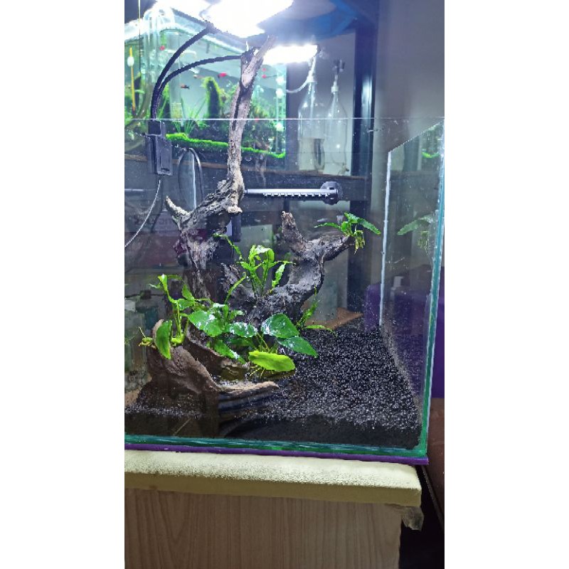 driftwood / kayu akuarium / kayu hiasan (nano tank) | Shopee Malaysia