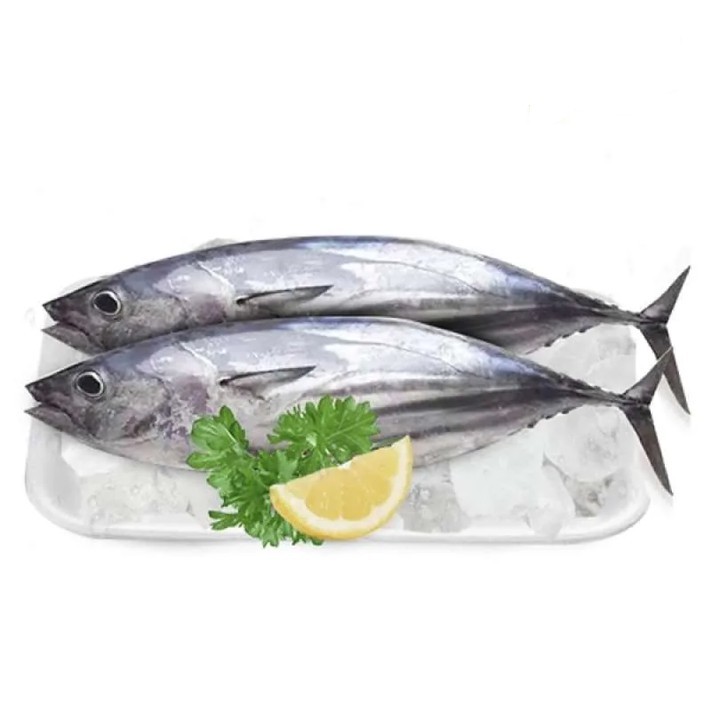 Premium Ikan Tongkol 2pc.± 1Kg± Frozen Tuna Mackerel | Shopee Malaysia