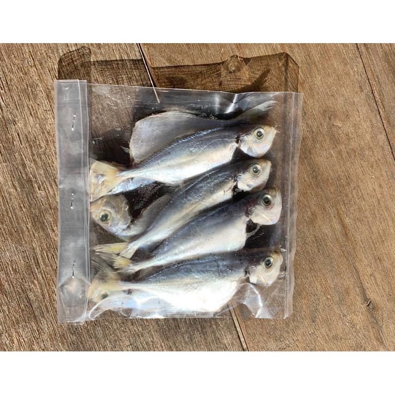 IKAN 'MAMBAR' PELATA SELAR KUNING SEGAR DARI LAUT CHINA SELATAN ...