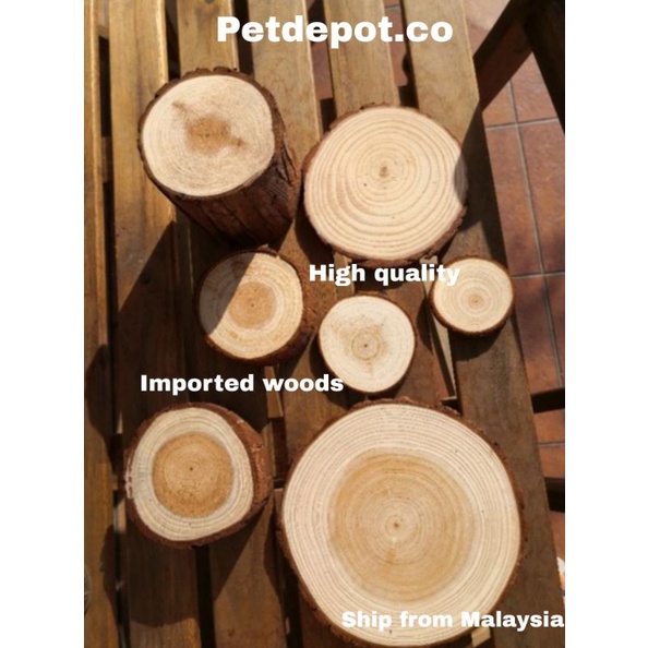 🇲🇾Ship in 24 hours Imported Wood Block/Ready Stock Natural Pine Round ...