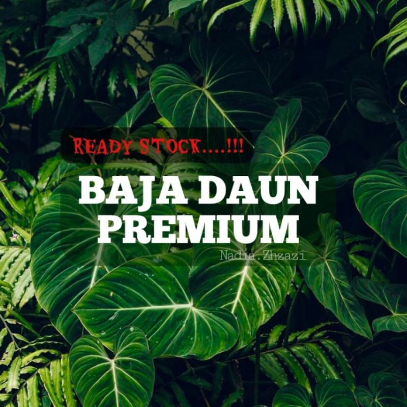Baja Subur Daun Premium By Putri Malu 1PEK 1KG | Shopee Malaysia