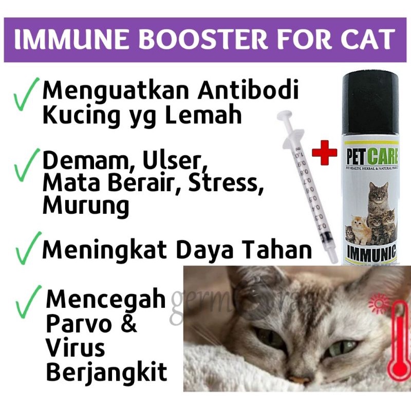 KUCING DEMAM MONYOK MURUNG IMMUNE BOOSTER FOR PET CAT FEVER STRESS ...