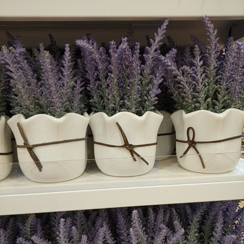 Artificial Lavender in unique round vase Kaison Pokok Tiruan Lavendar ...