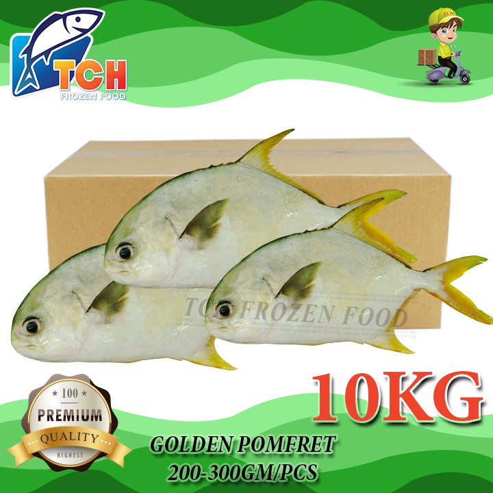 BAWAL MAS MEDIUM, GOLDEN POMFRET MEDIUM, TCH FROZEN FOOD, FRESH FROZEN ...
