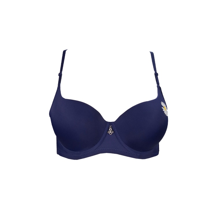 Hari-Hari - EV FASHION Women's Push Up Bra B Cup / Wired / Baju Dalam ...