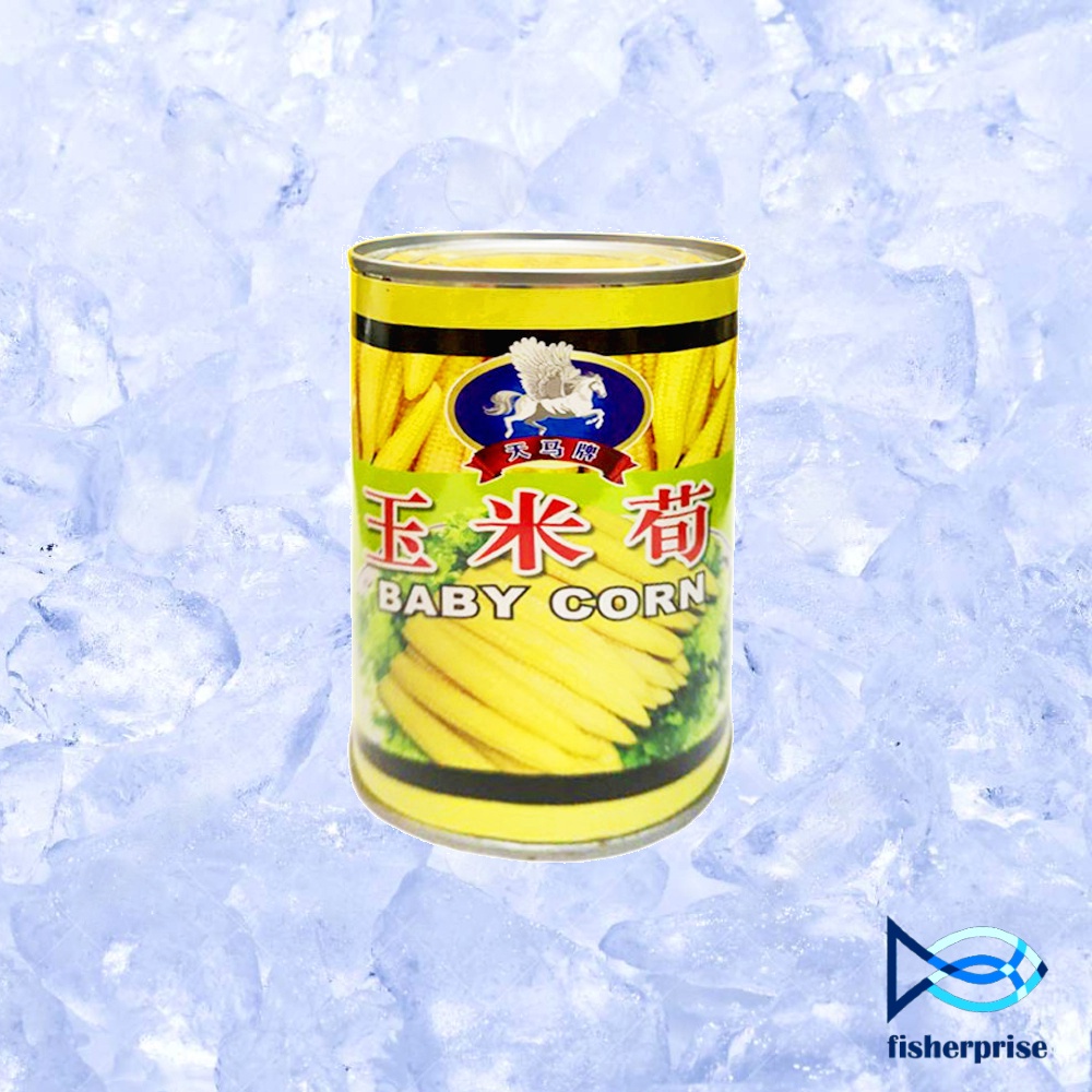 TM Brand Baby Corn 天马玉米荀 (425g) | Shopee Malaysia