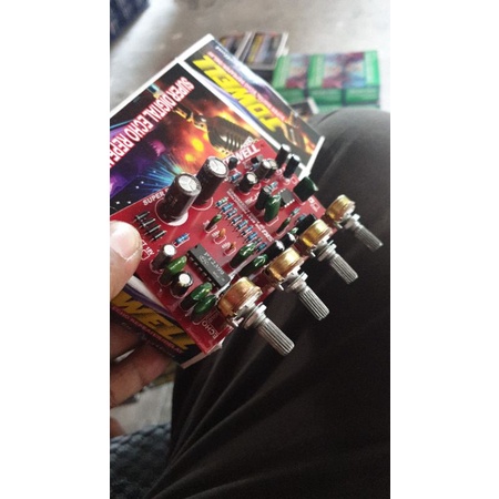 Echo DIGITAL REPEATER REVERB KIT 2 MIC NYESS PLUS POWER SUPPLY | Shopee ...