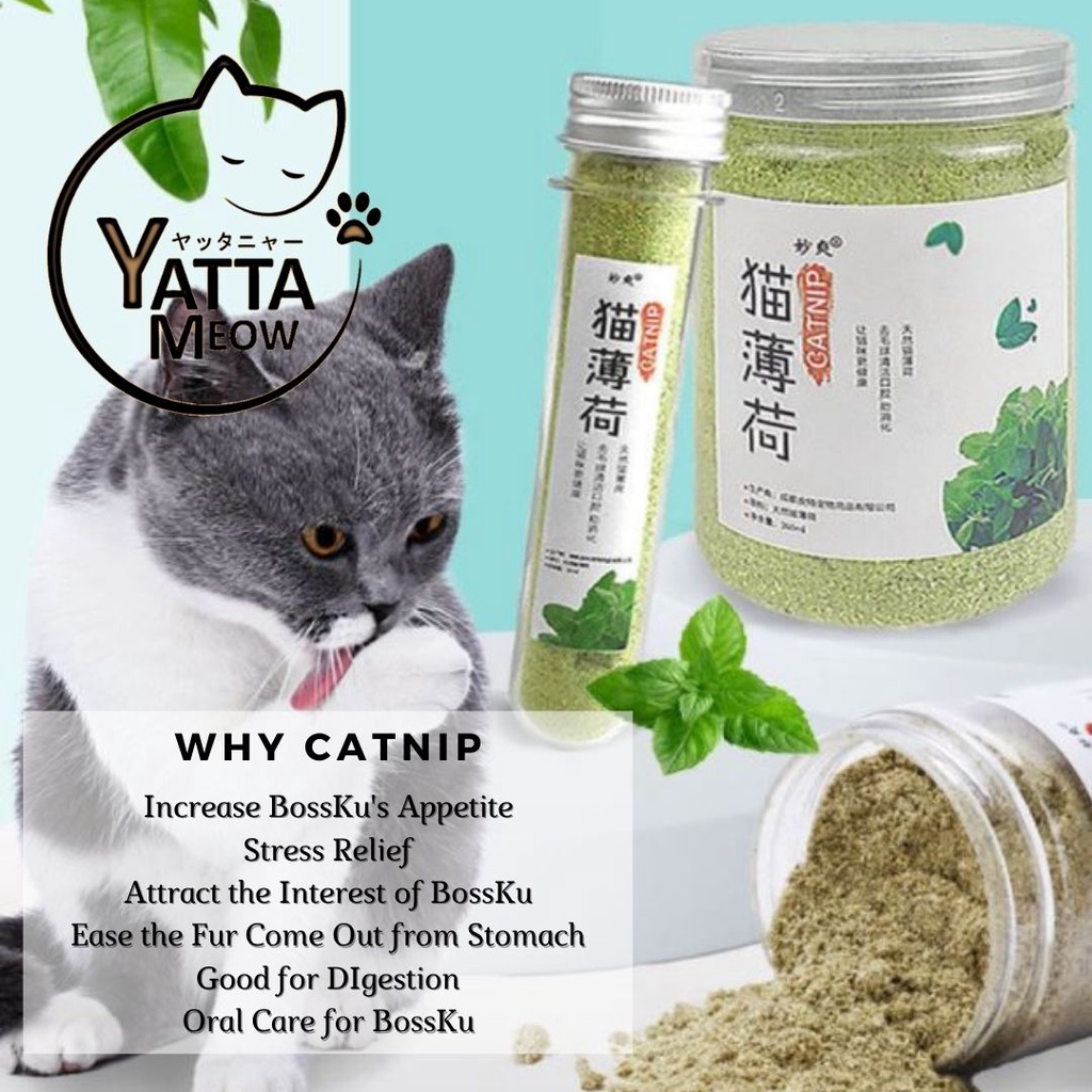 MIAOSHUANG Catnip Powder Cat Treats Cat Snack Digestion Kucing Serbuk ...