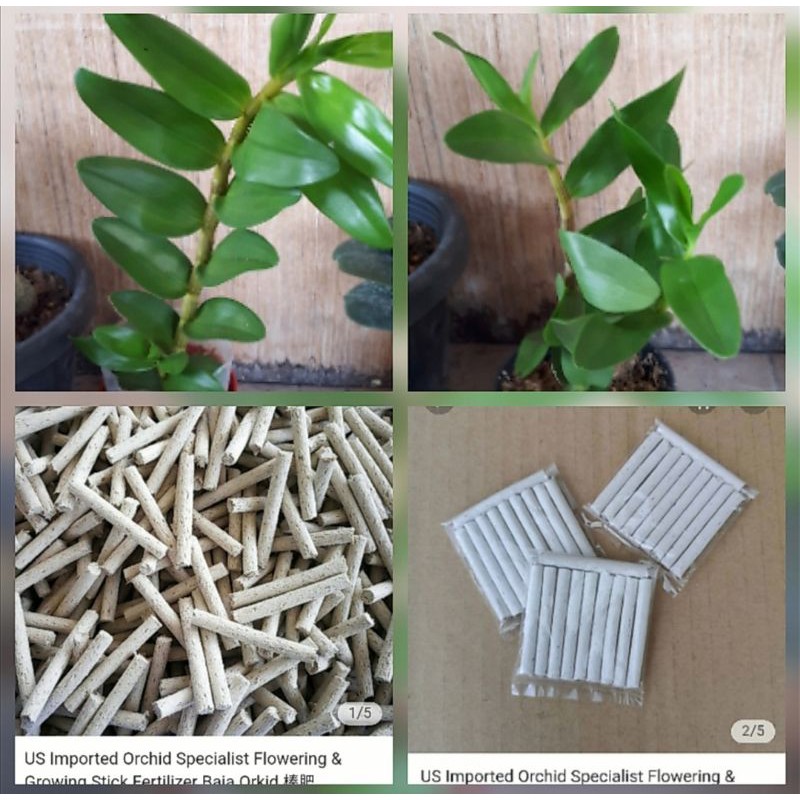 SLOW RELEASE STICK FERTILIZER FOR FLOWERS & GROWTH | Shopee Malaysia