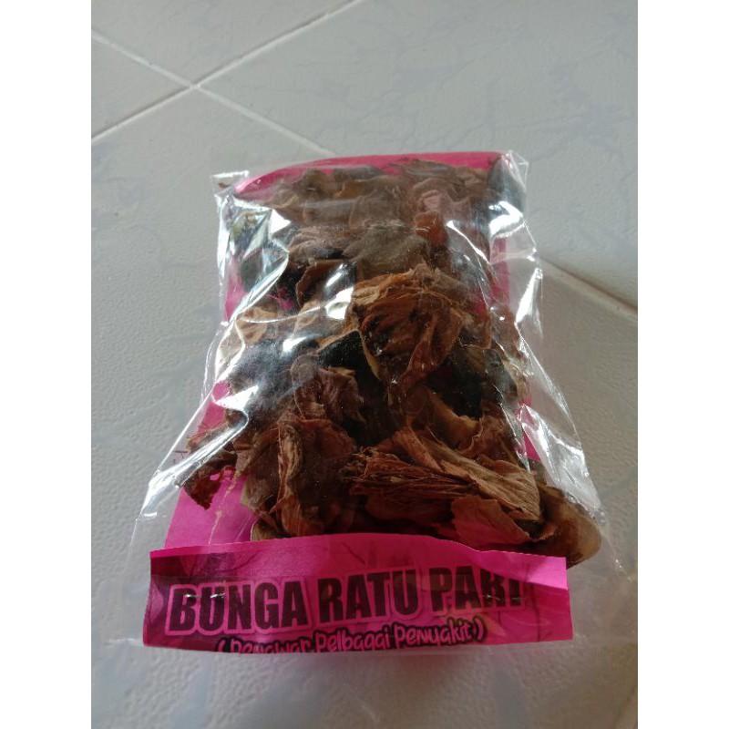 Bunga Ratu Pari/penawar pelbagai penyakit | Shopee Malaysia