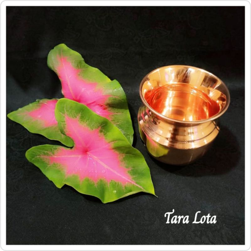 Pure Copper Tara Lota - Bekas Air / Cawan Tembaga - 550ml | Shopee Malaysia