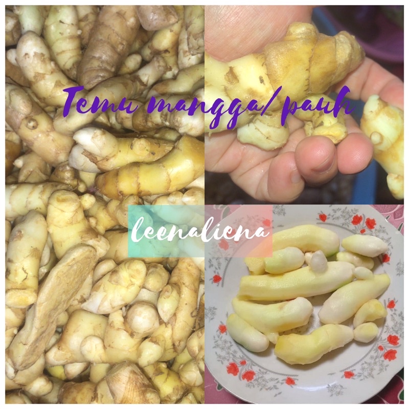 UBI TEMU MANGGA/PAUH ( rasa mangga muda) | Shopee Malaysia