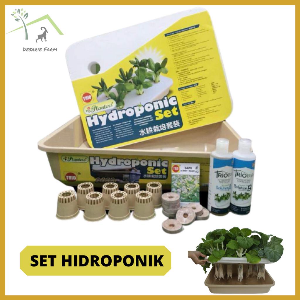 Set Hidroponik Lengkap Water Hydroponic System, Home Gardening(Full Set ...