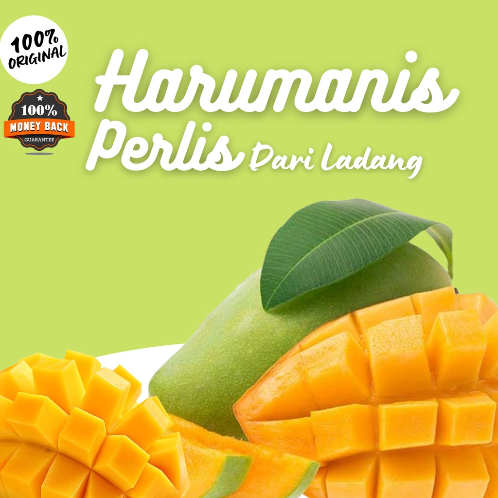 (Ada Warranty!) HarumManis Perlis Harum Manis Perlis Harumanis Perlis ...