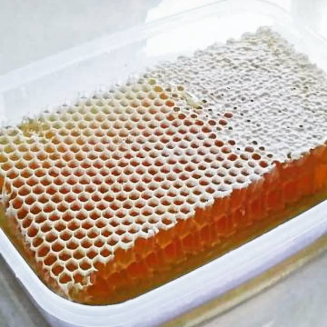12.12 Honeycomb 500gr Pure Honeycomb Fire Honeycomb melifera, Honeycomb ...