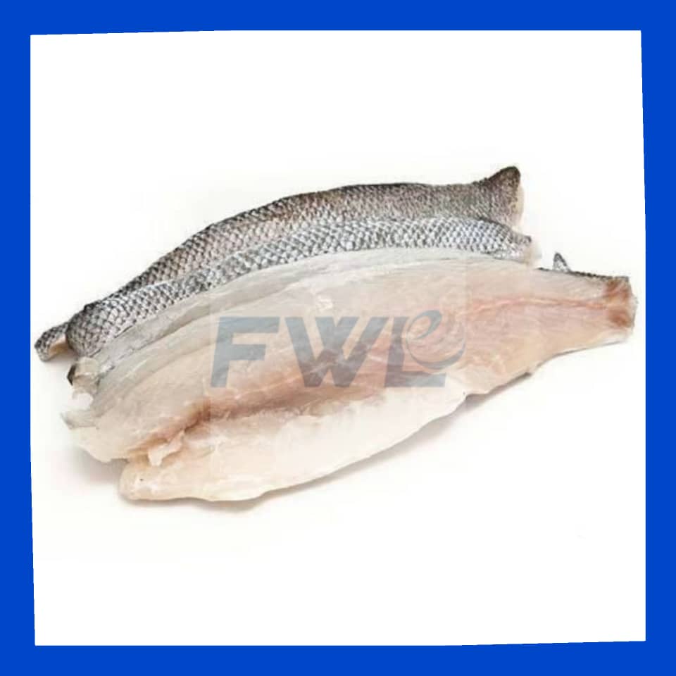 Frozen Siakap Fillet (SEABASS/SIAKAP) 石甲鱼片（无骨）(For Klang Valley Only ...