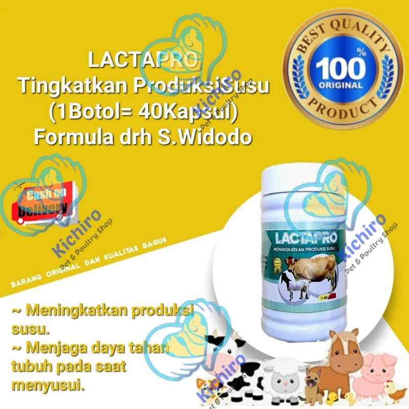 Lactapro contains 40 Vitamin Capsules to Increase Milk Production in ...