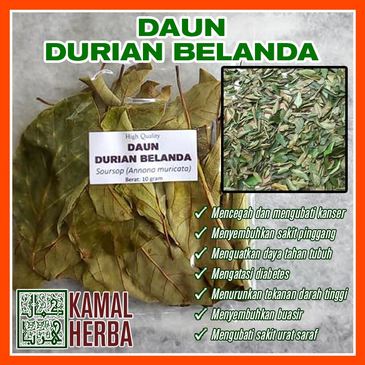 Daun Durian Belanda Kering (Dried Soursop Leaf) - Merawat Kanser ...