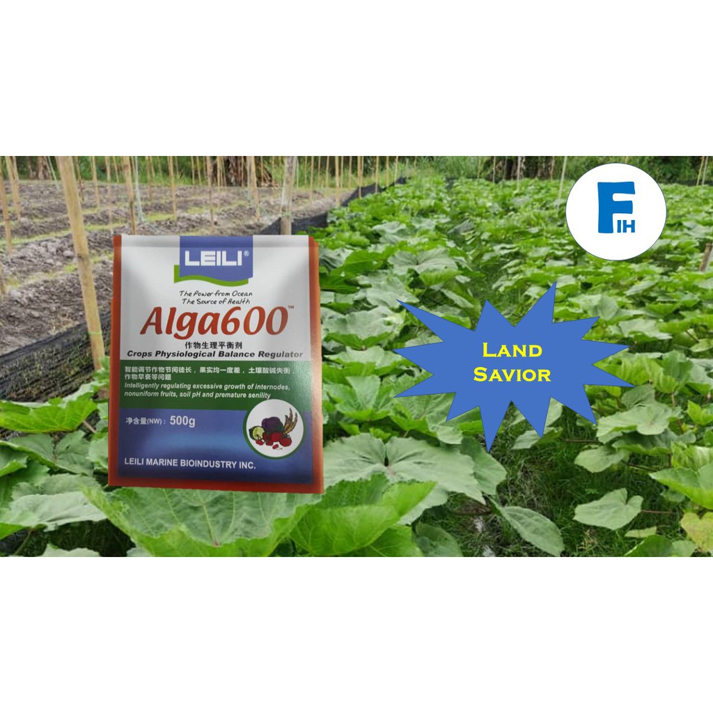 Organic Seaweed Foliar Fertilizer –Alga600 (500g) | Shopee Malaysia