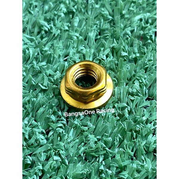 🔥Hot Item‼️ 🇳🇱 SKRU NUT TITANIUM / GOLD M6 M8 M10 M12 M14 | Shopee Malaysia