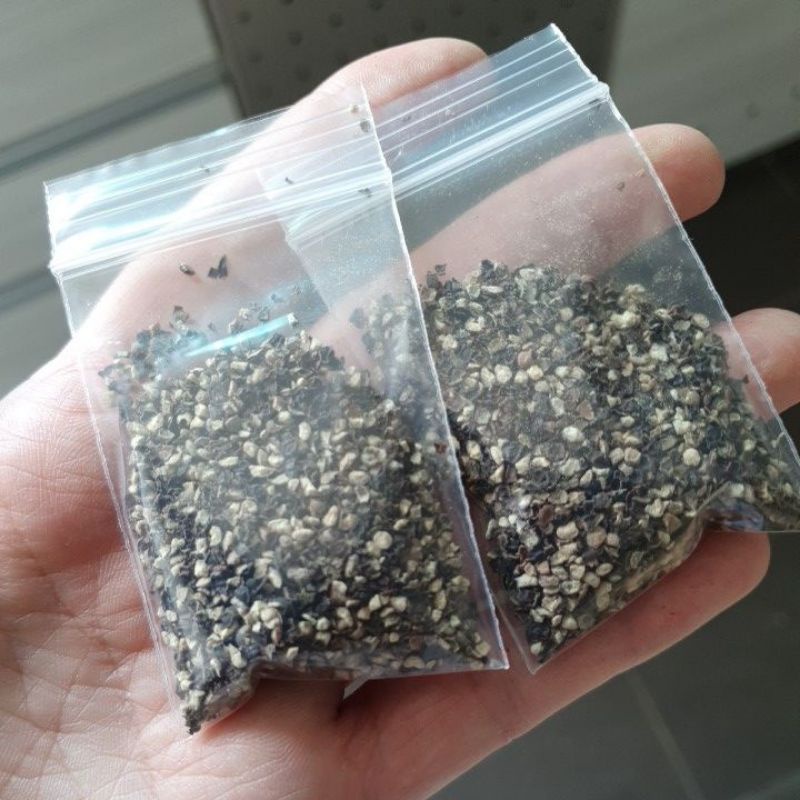 Black Pepper Ground 10g 黑胡椒粉 | Shopee Malaysia