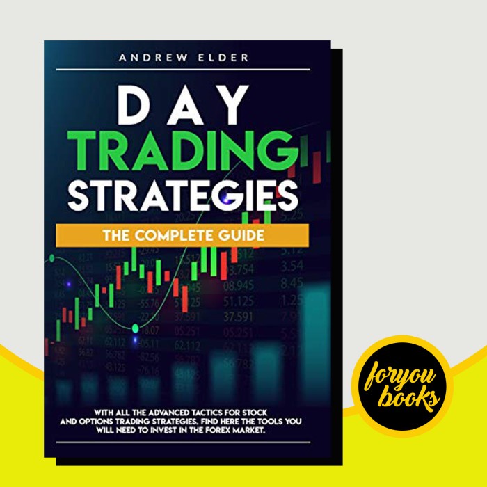 Day TRADING STRATEGIES: THE COMPLETE GUIDE WITH ALL THE ADVANCED TACTI ...
