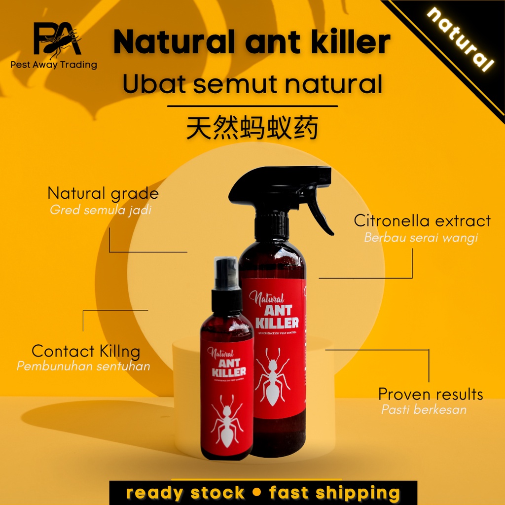 Spray Semut Natural /Natural Ant Killing Spray / Pembunuh Semut Natural ...