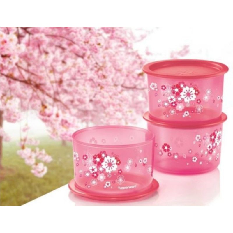 Promotion 💯 Tupperware one touch | Shopee Malaysia