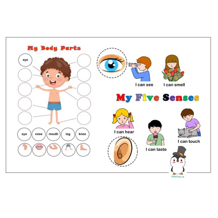 My body parts and five senses| Early learning Education book busy book ...