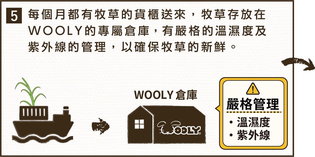 Wei He Ma-Japan WOOLY USA Washington Early Picked Timothy One Cut ...