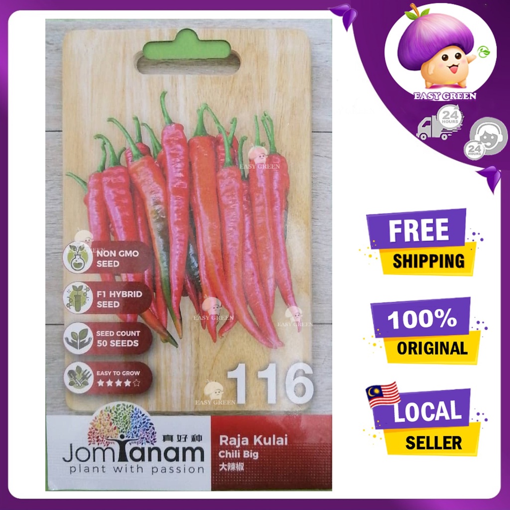 BENIH JOM TANAM JT116 (50 SEEDS) RAJA KULAI CHILI BIG/CILI BESAR KULAI ...