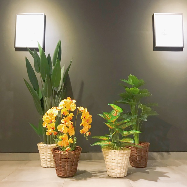 🔥[READY STOCK]🔥Pasu Pokok Bunga Rotan Rattan Bakul Rotan Artificial ...