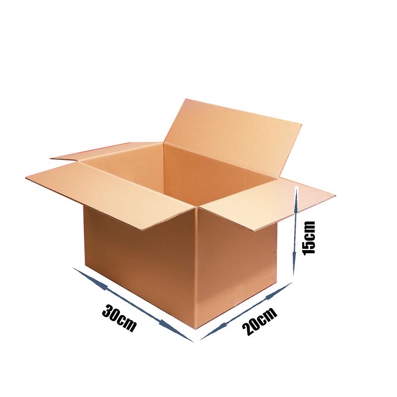 CARTON BOX PACKAGING BOX PACKING BOX BOX KOTAK RSC DESIGN 30x20x15CM ...