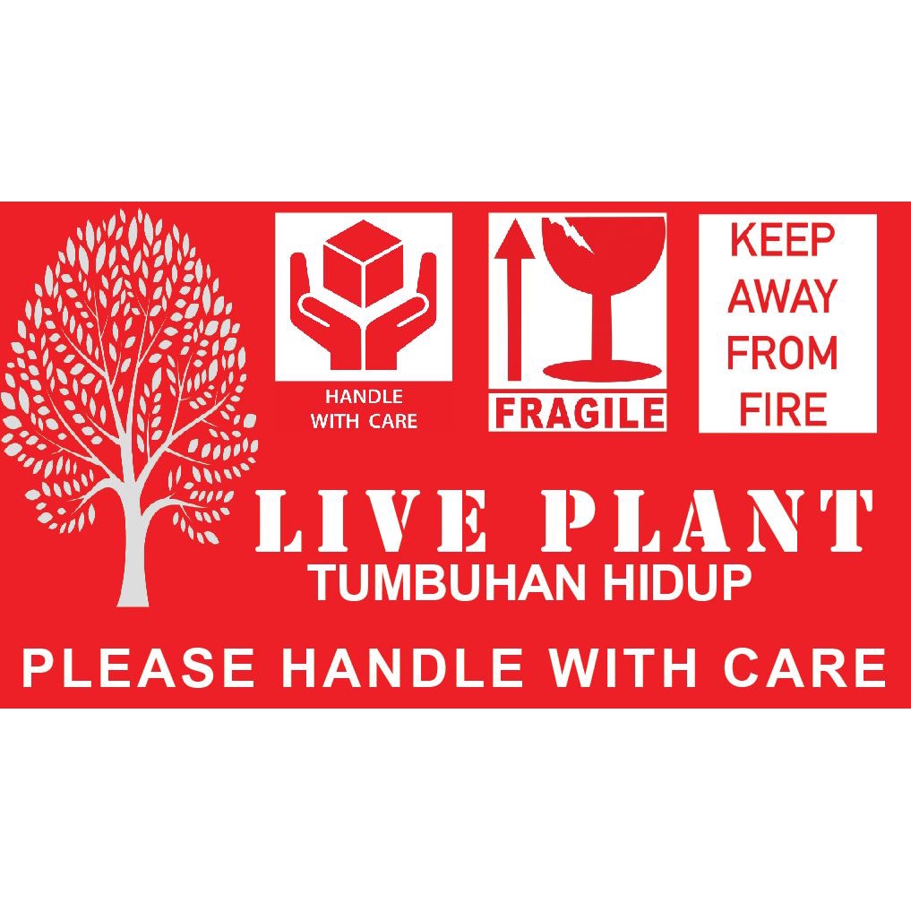 🔥 [BUY 10 + 1 ] 🔥READY STOCK🔥 STICKER FRAGILE POKOK 10 PCS /LIVE PLANT ...