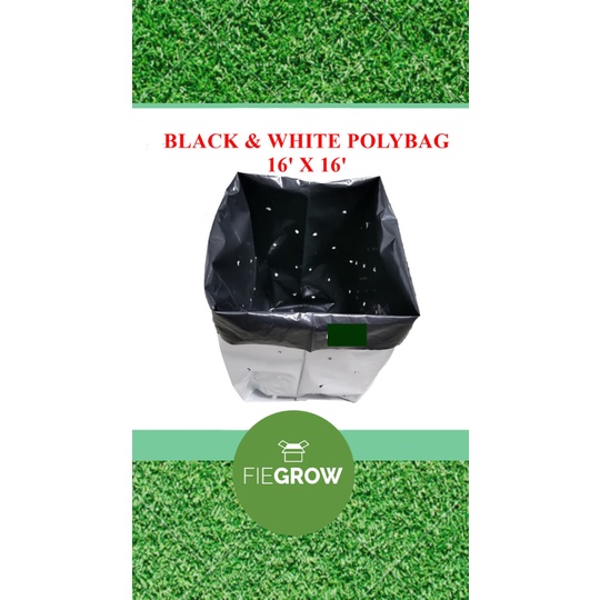 [1 KG] White Black Polybag Thick Fertigasi Polibag Putih Hitam Nursery ...