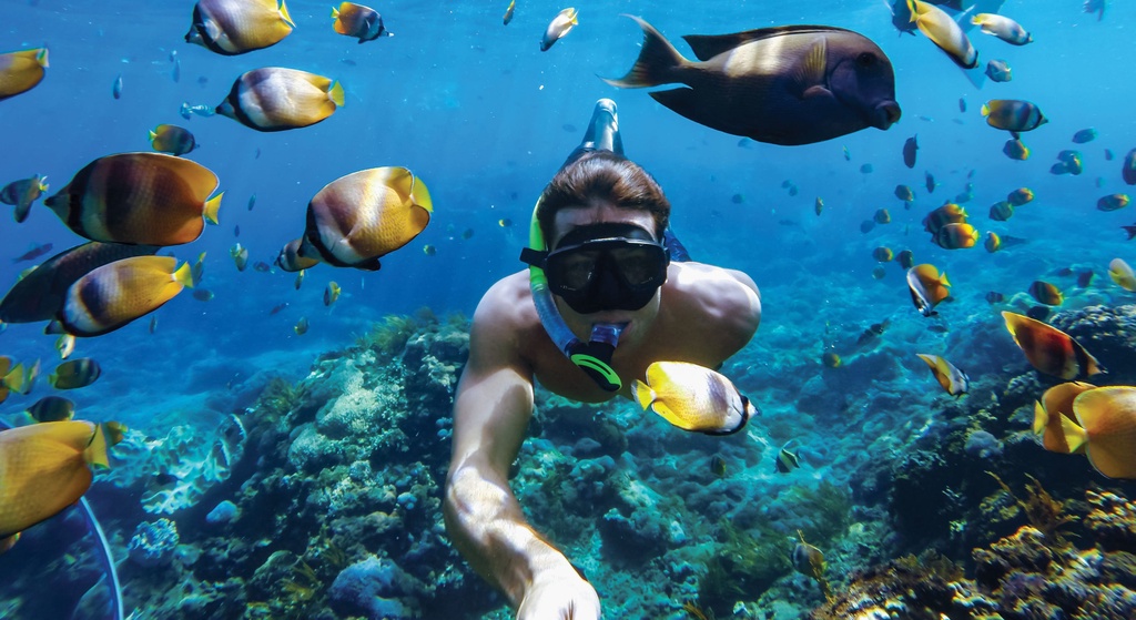 GoPro Protective Housing HERO12/11/10/9: Waterproof down to 196ft (60m ...