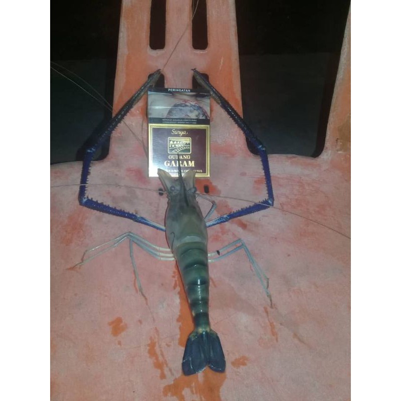 MATA KAIL JINGGO MODIFIED POWER (MATA UDANG) | Shopee Malaysia