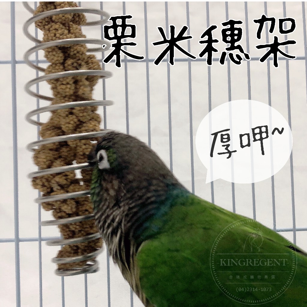 Jinrui Cheng Bird Park- > White Iron Xiaomi Ear Rack/Can Hold Ears ...