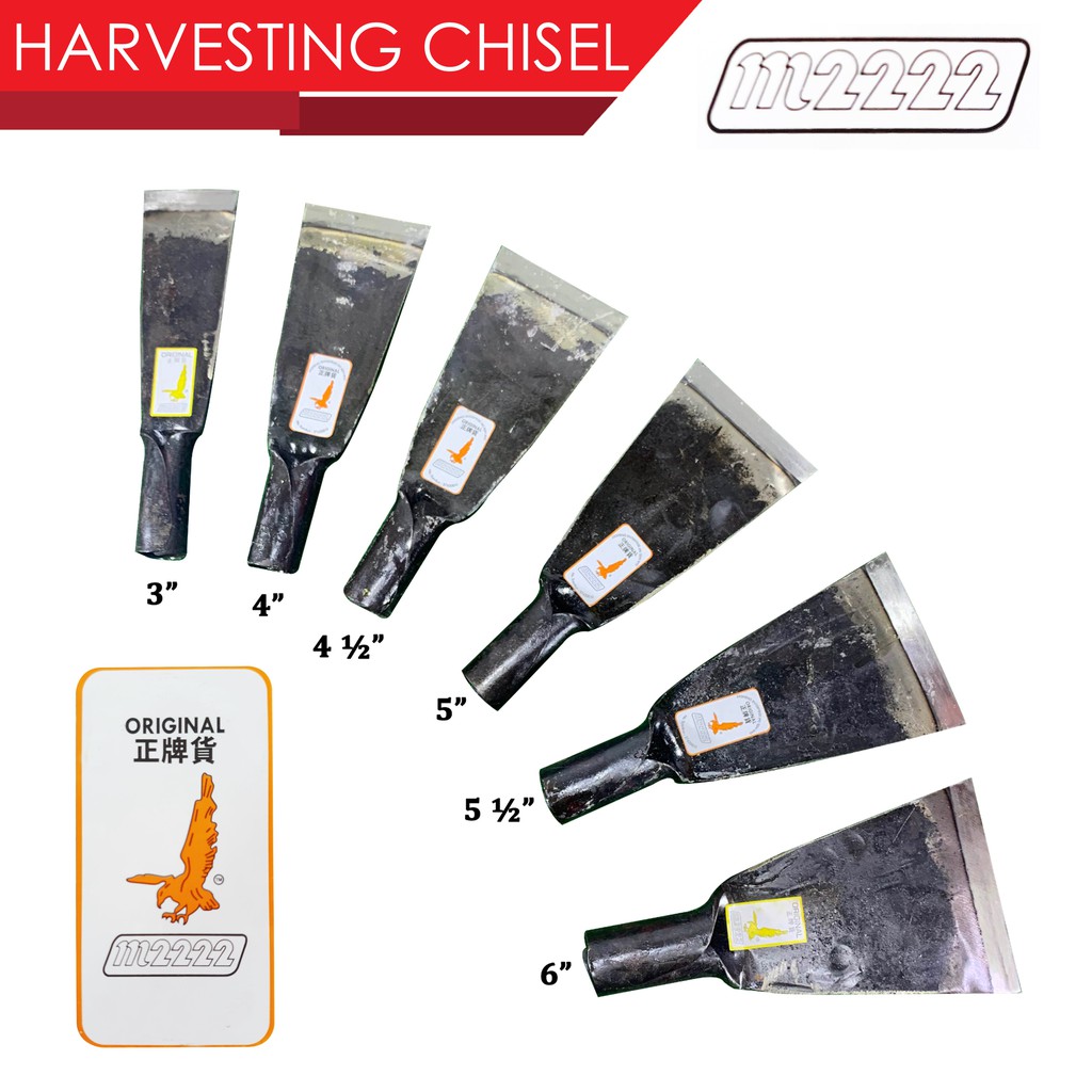 Oil Palm Harvesting Chisel (Alatan Kelapa Sawit) 油棕铲 | Shopee Malaysia