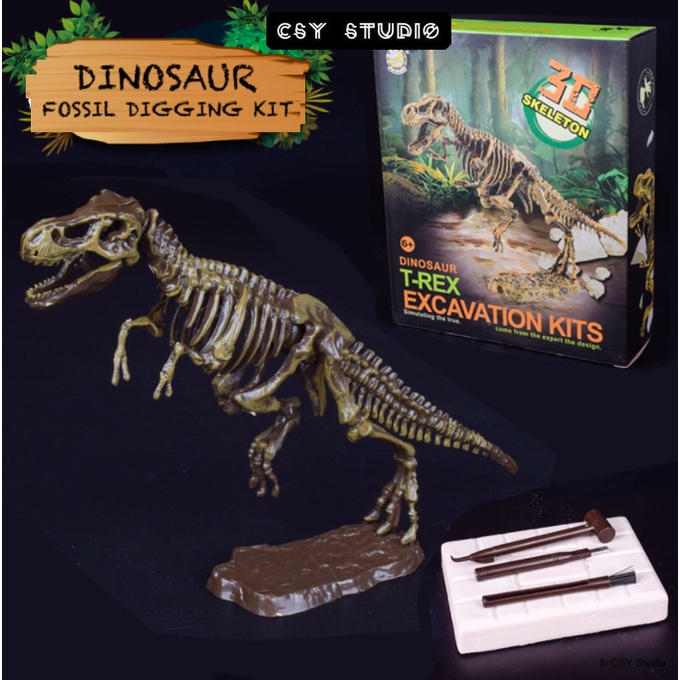 Dinosaur Fossil Digging Kit for kids Dinosaur Eggs Excavation Kit ...