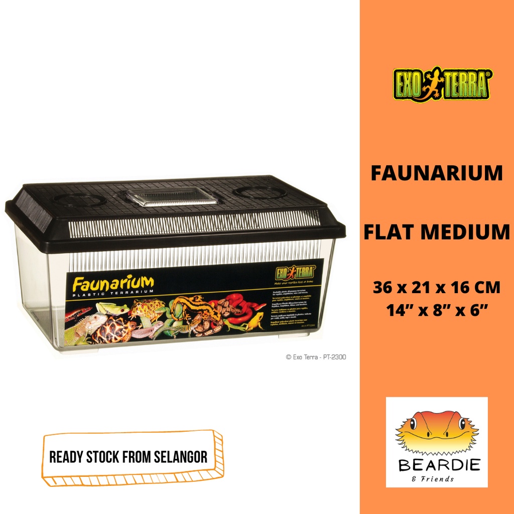 EXO TERRA FAUNARIUM / ALL PURPOSE TERRARIUM FLAT MEDIUM (PT2300 ...