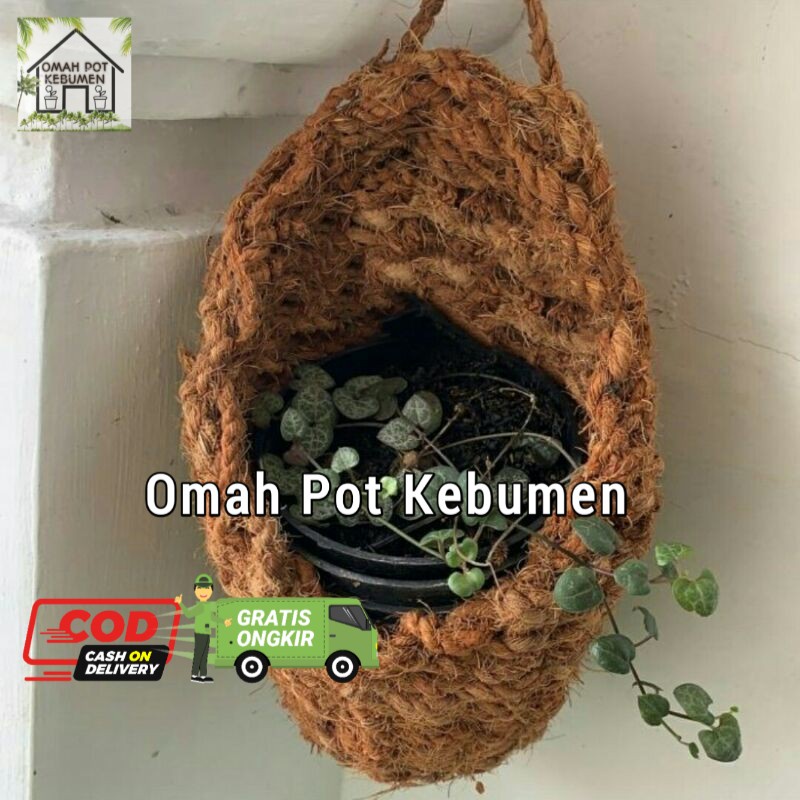 Paste Pots/Terracotta Pots/Wall Pots/Coconut Coir Orchid Pots | Shopee ...