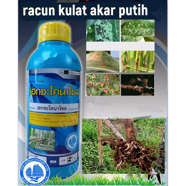 racun kulat akar putih perlindungan tumbuhan. Menghilangkan pelbagai ...