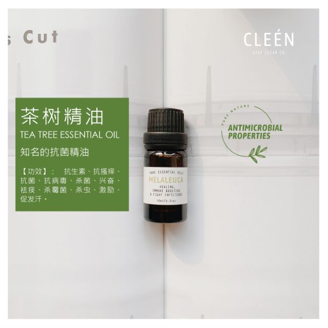 Best Seller CLEEN TEA TREE ( MELALEUCA ALTERNIFOLIA ) PURE ESSENTIAL OILS 10ML | Shopee Malaysia