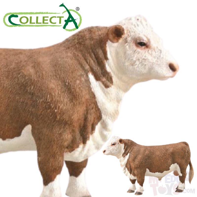 Hereford Bull Polled - Collecta 88861 Farm Life Animal Action Figures ...