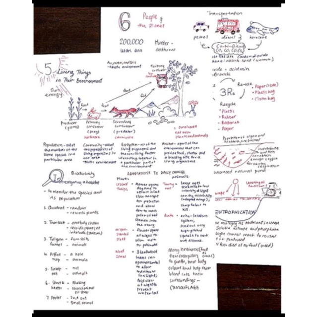 🔥[IGCSE NOTES] Year 7 notes ( Combine Science)(hard copy) | Shopee Malaysia