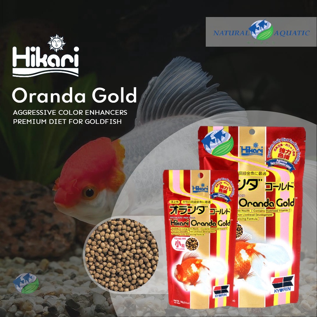 Hikari Oranda Gold (100g /300g) Floating Type, Goldfish Food/ Lionhead ...